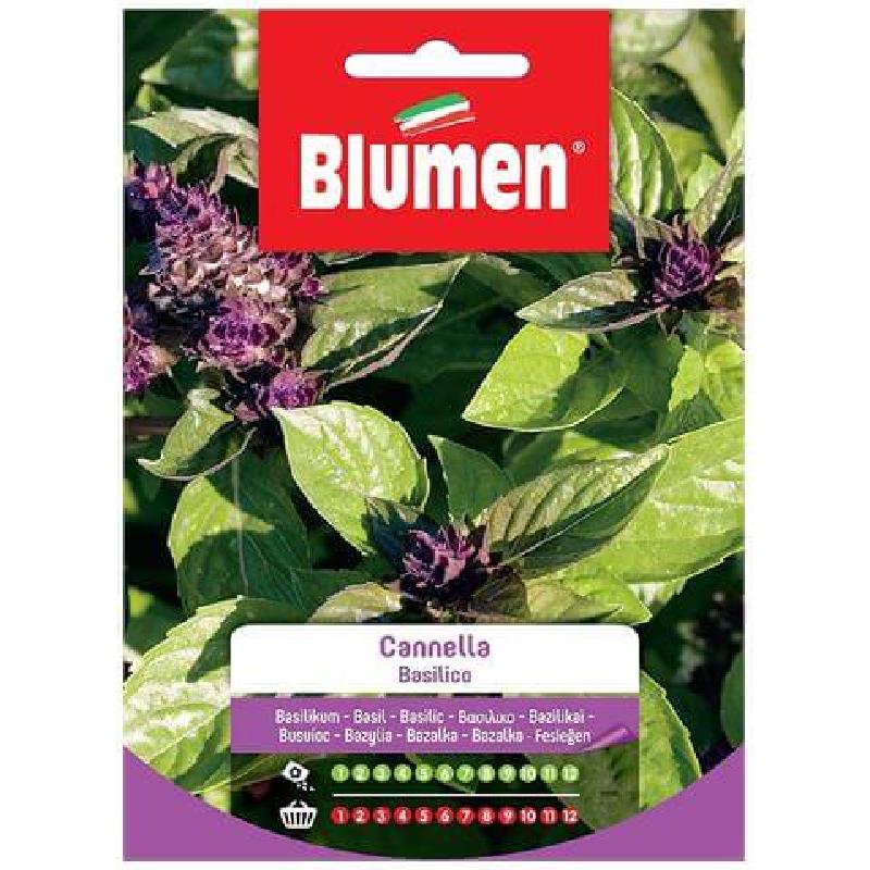 SEMI VARI ORTO EUROVISION